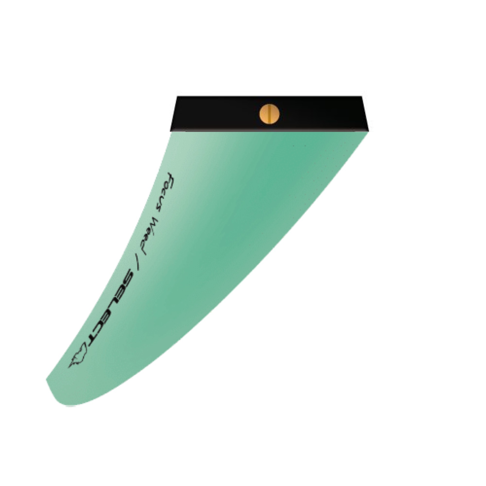Windsurf fin Select Focus Weed Mini Tuttle - Price, Reviews - EASY-surfshop